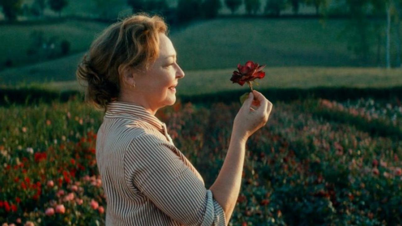 La fine fleur (VOSE) - 27 Festival de Cine Francés de Málaga - AF Málaga